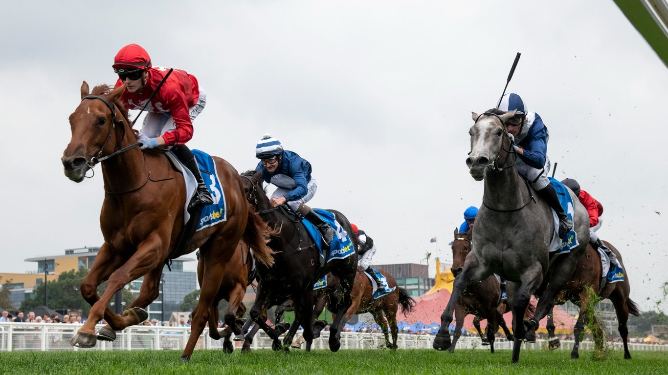 Blue Diamond Stakes 2025 - Barrier Draw & Final Field