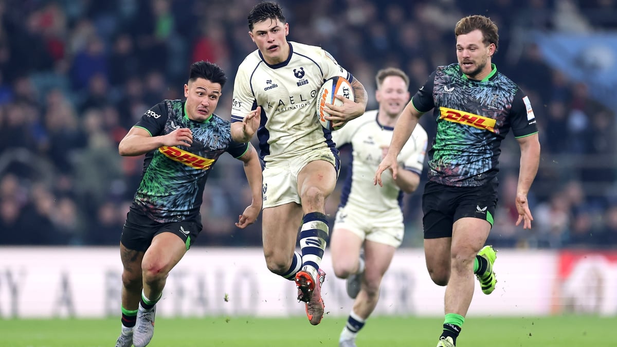 Bristol vs Newcastle Predictions - The Bears set for victory over the ...