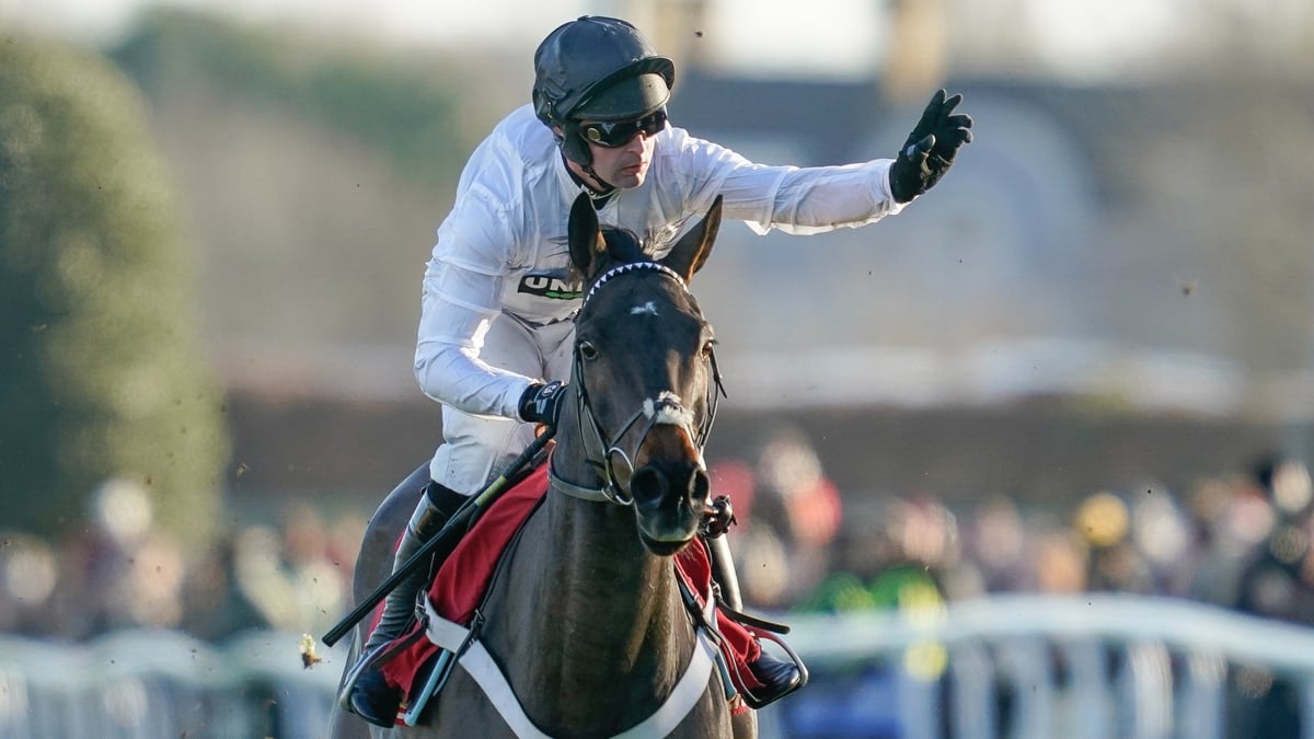 2025 Fighting Fifth Hurdle Odds | Constitution Hill leads The New Lion ...