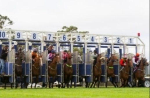 Cranbourne Racing Tips for March 13 – Time to deliver over the 2000m in ...