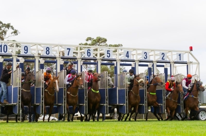 Cranbourne Racing Tips for October 31- Promising youngster to make it ...