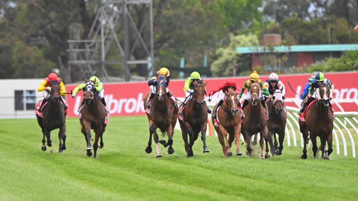 Cranbourne Cup Day Tips for Saturday, November 22, 2025 | Cranbourne ...