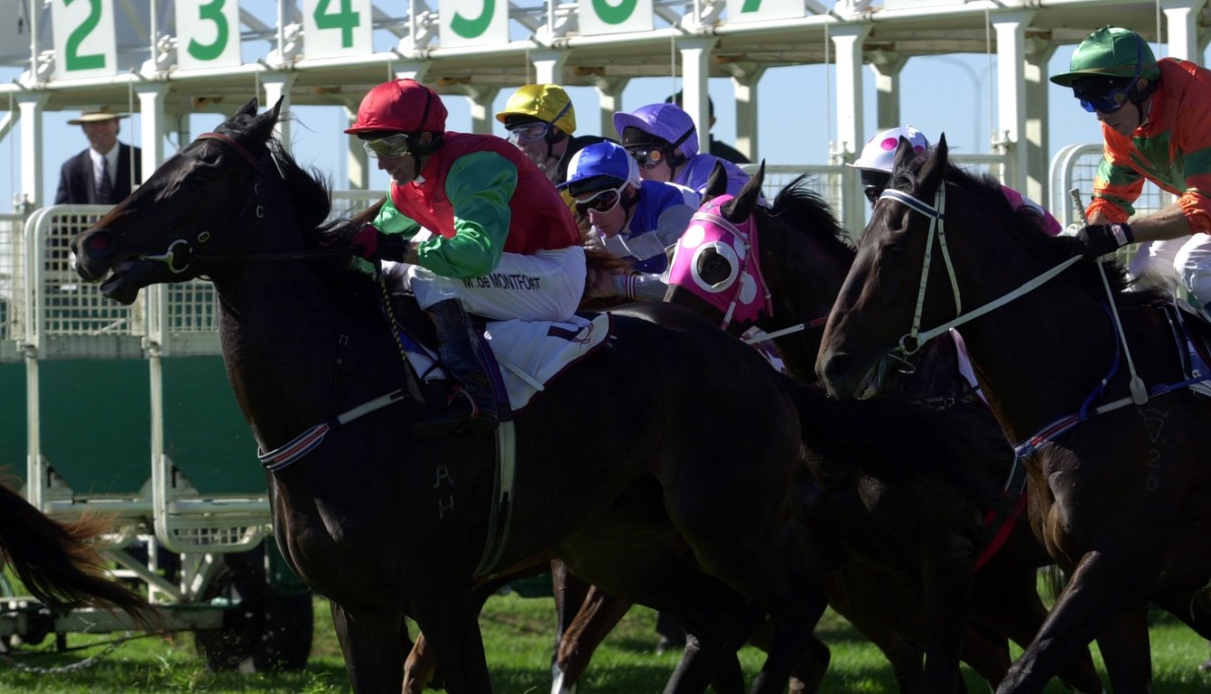 Doomben Racing Tips for November 15 - Exceed Speed is poised to bounce back