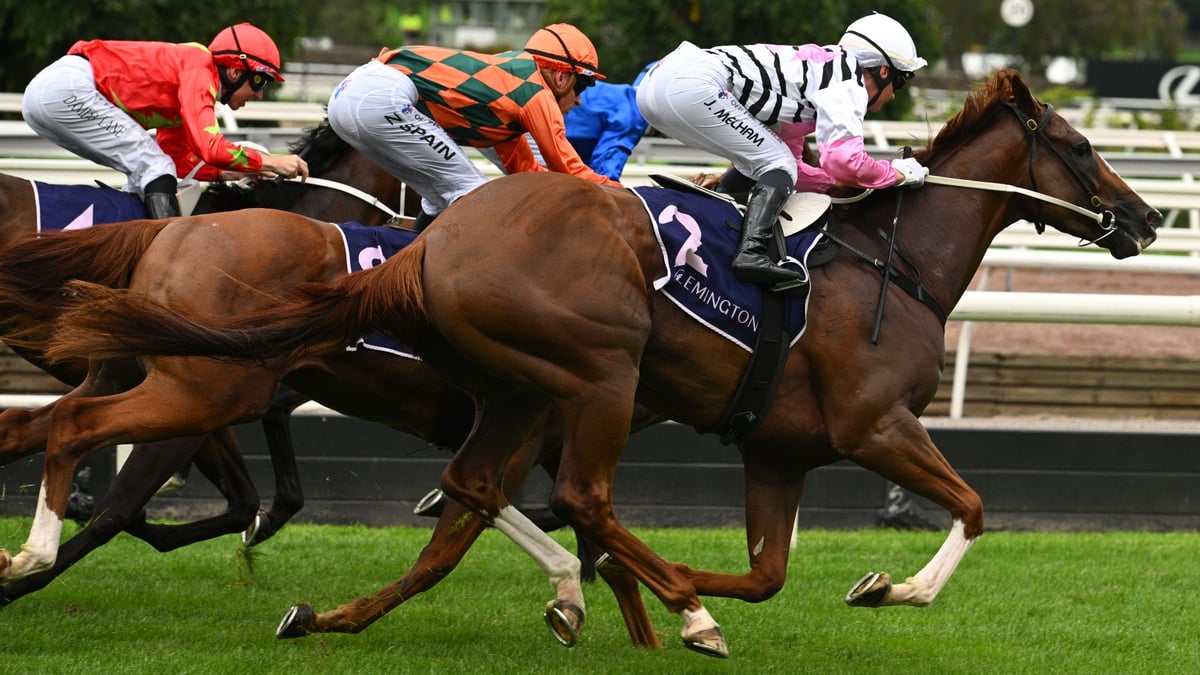 Durbanville Racecourse Horse Racing Tips - Get all the racing tips for ...