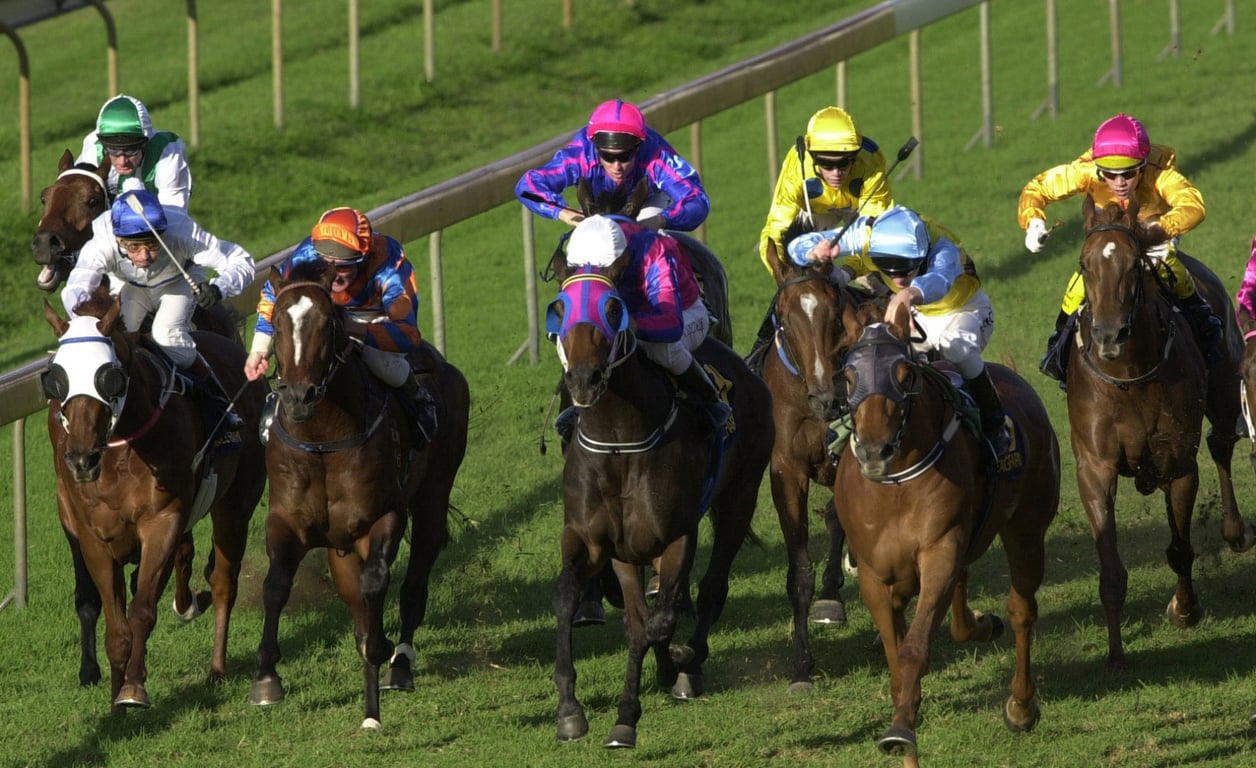 Eagle Farm Racing Tips for October 22 - Mr Buster looks set to pounce ...