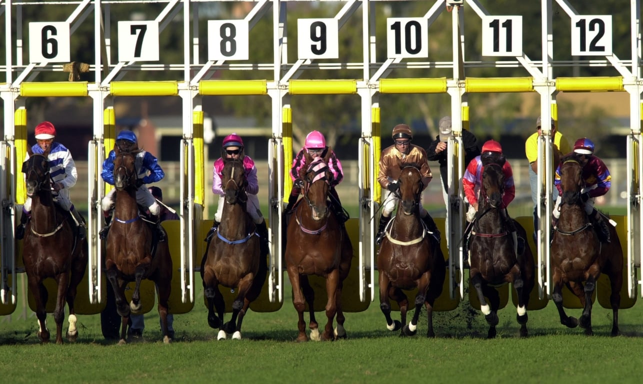 Eagle Farm Racing Tips for June 14 - Pier looks poised to win 3rd-up