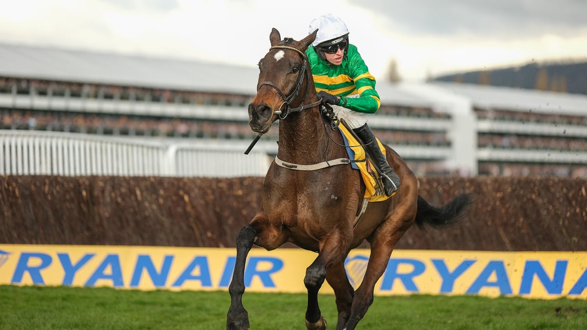 Bet365 Super Boost | Get 6/4 on Fact To File to win the Punchestown ...