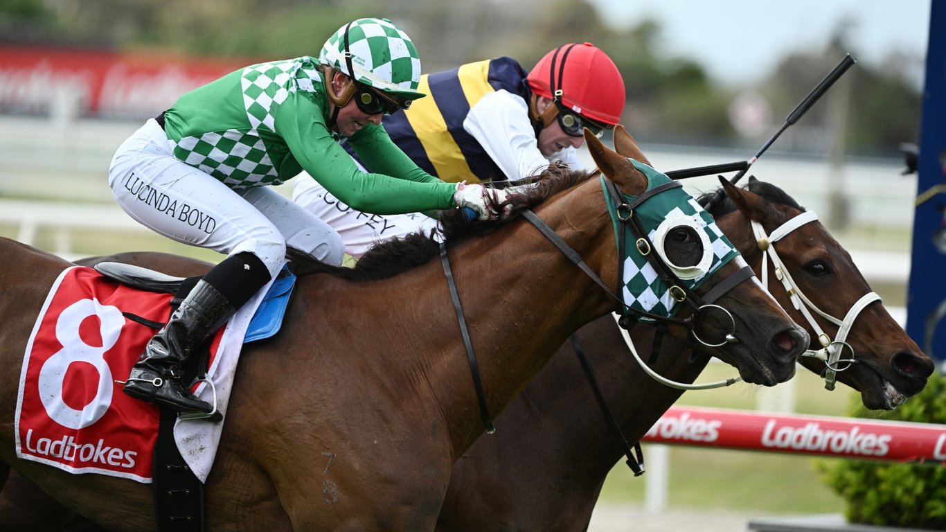 Geelong Racing Tips for November 26- Matt Laurie mare to sparkle in Race 7