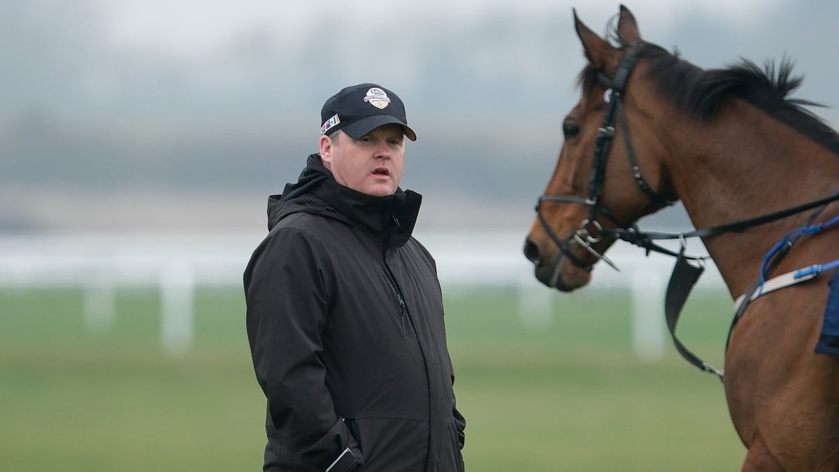 Cheltenham Festival 2026 Stable Tour | Gordon Elliott's Runners