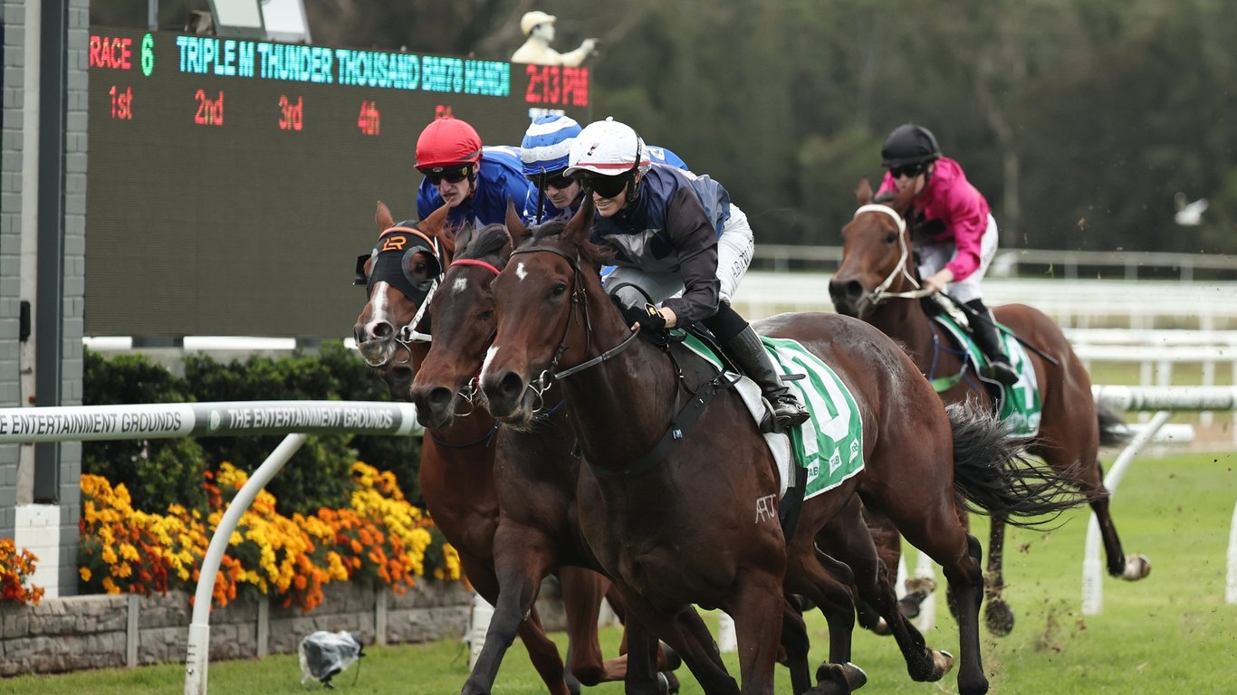 Gosford Racing Tips for December 18 - Leantothemoon can win, at her ...