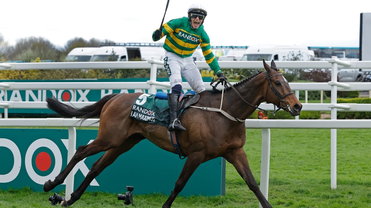 I Am Maximus Grand National 2025 Odds and Betting