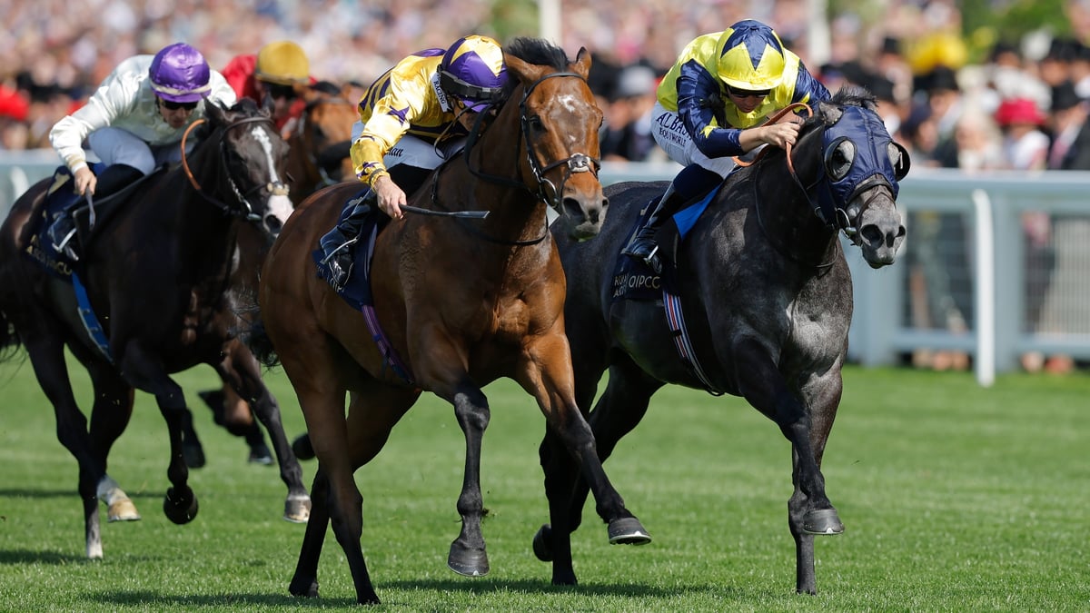 2026 King Charles III Stakes Live Stream | Watch the Royal Ascot race ...