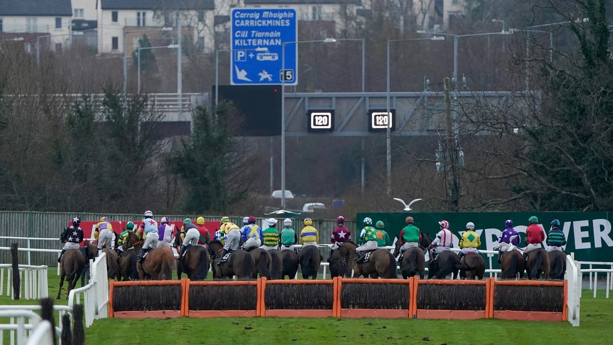 Dublin Racing Festival Tips | Leopardstown Tips on February 1