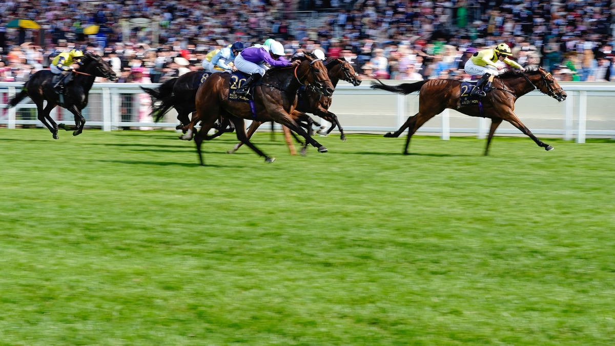 Zac Lloyd Lands First Royal Ascot Winner Aboard Moonfall