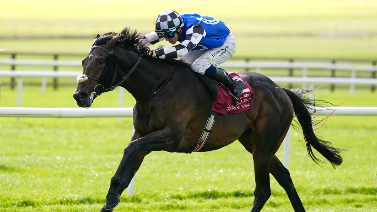 2025 Melbourne Cup Tips & Betting Preview - Best bets for the Race That ...