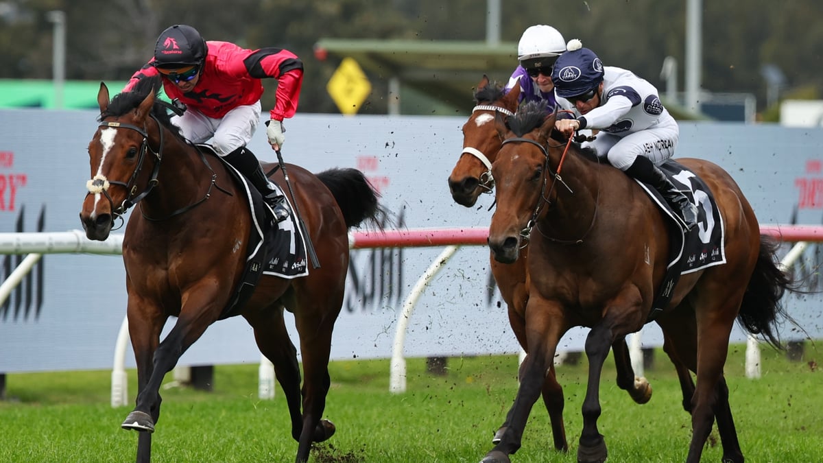 Magic Millions 3YO Guineas 2026 Betting Tips | Will Ninja Justify a ...