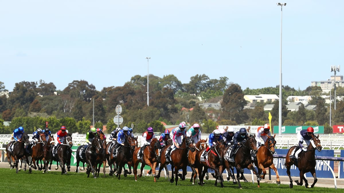 2025 Melbourne Cup Field & Runners – Runner-By-Runner Guide for Flemington
