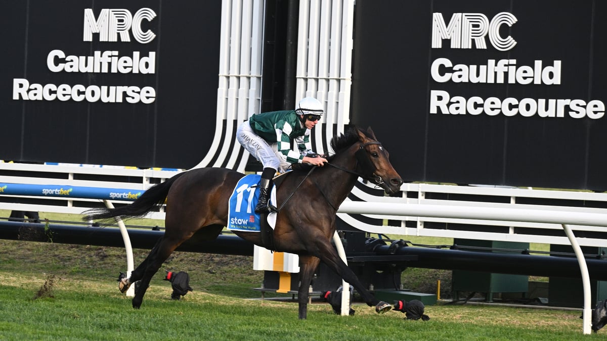 Might And Power Stakes 2025 Betting Odds – Treasurethe the Heads Market ...