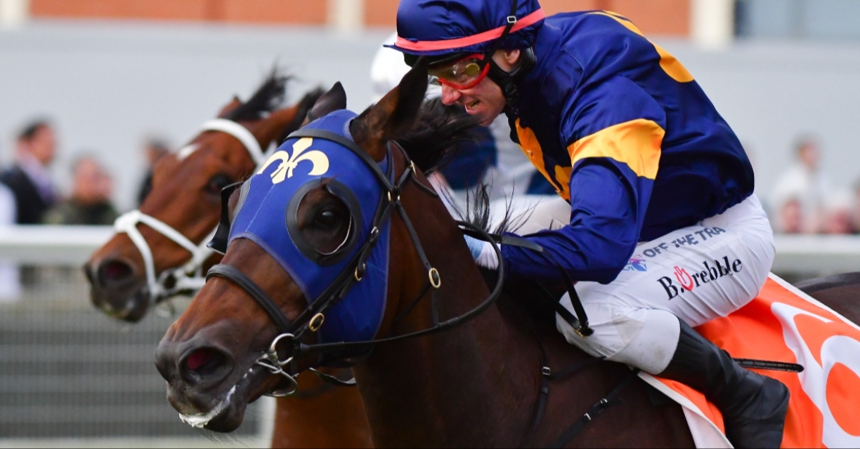 Mildura Racing Tips for October 7- Chilli Reaper to fly at her first ...