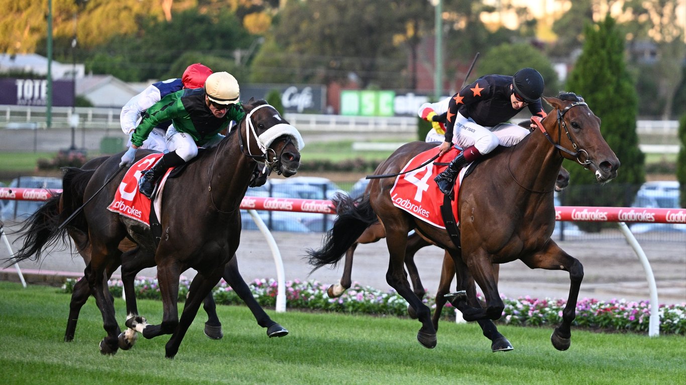 Moonee Valley Racing Tips for March 22- Too Darn Lizzie the one to beat ...