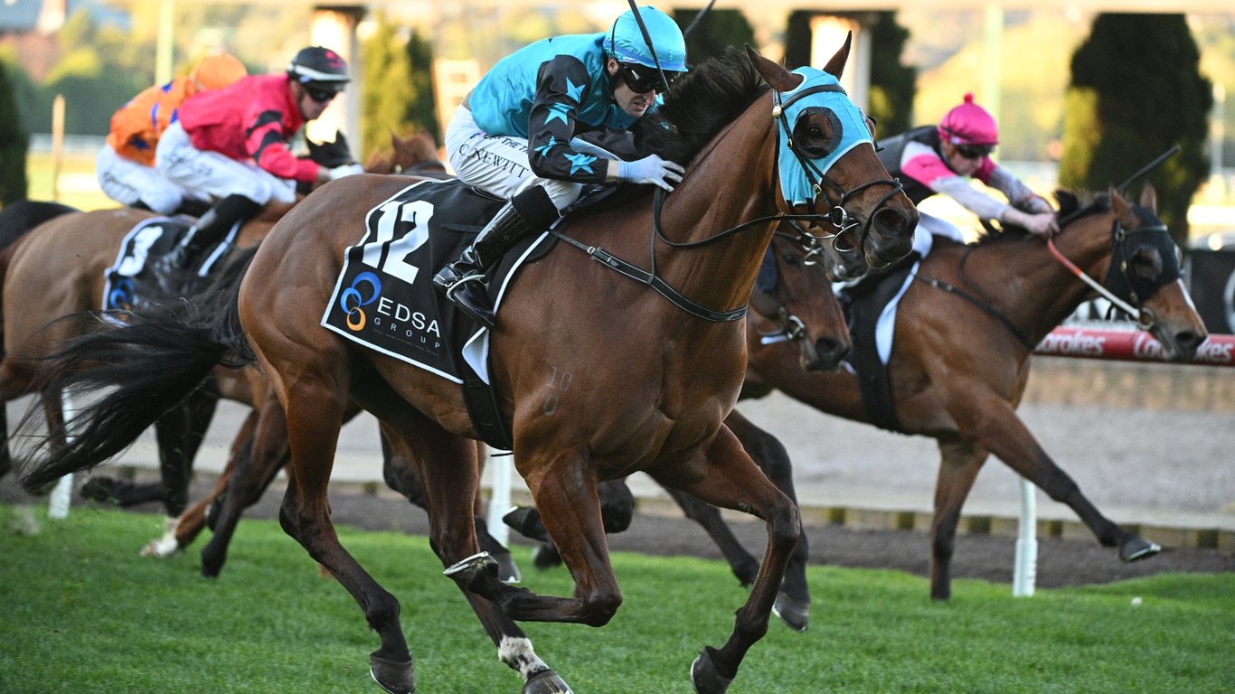 Moonee Valley Racing Tips for August 23- Oak Hill to take out the ...