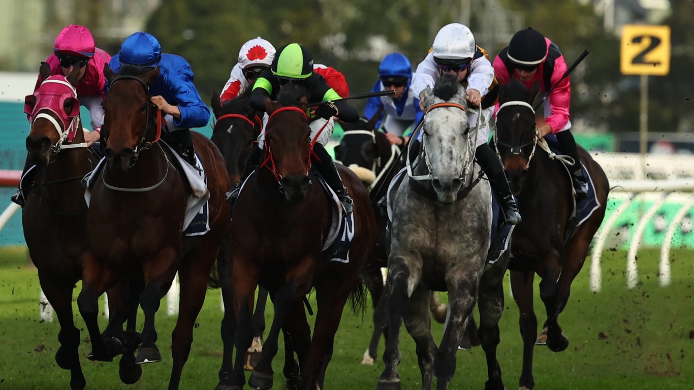 Taree Racing Tips for July 22 - Mr Damage looks poised for victory, 2nd ...