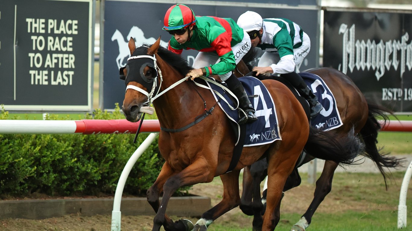 Newcastle Racing Tips for November 20 - Zoucratic looks the goods, 4th ...