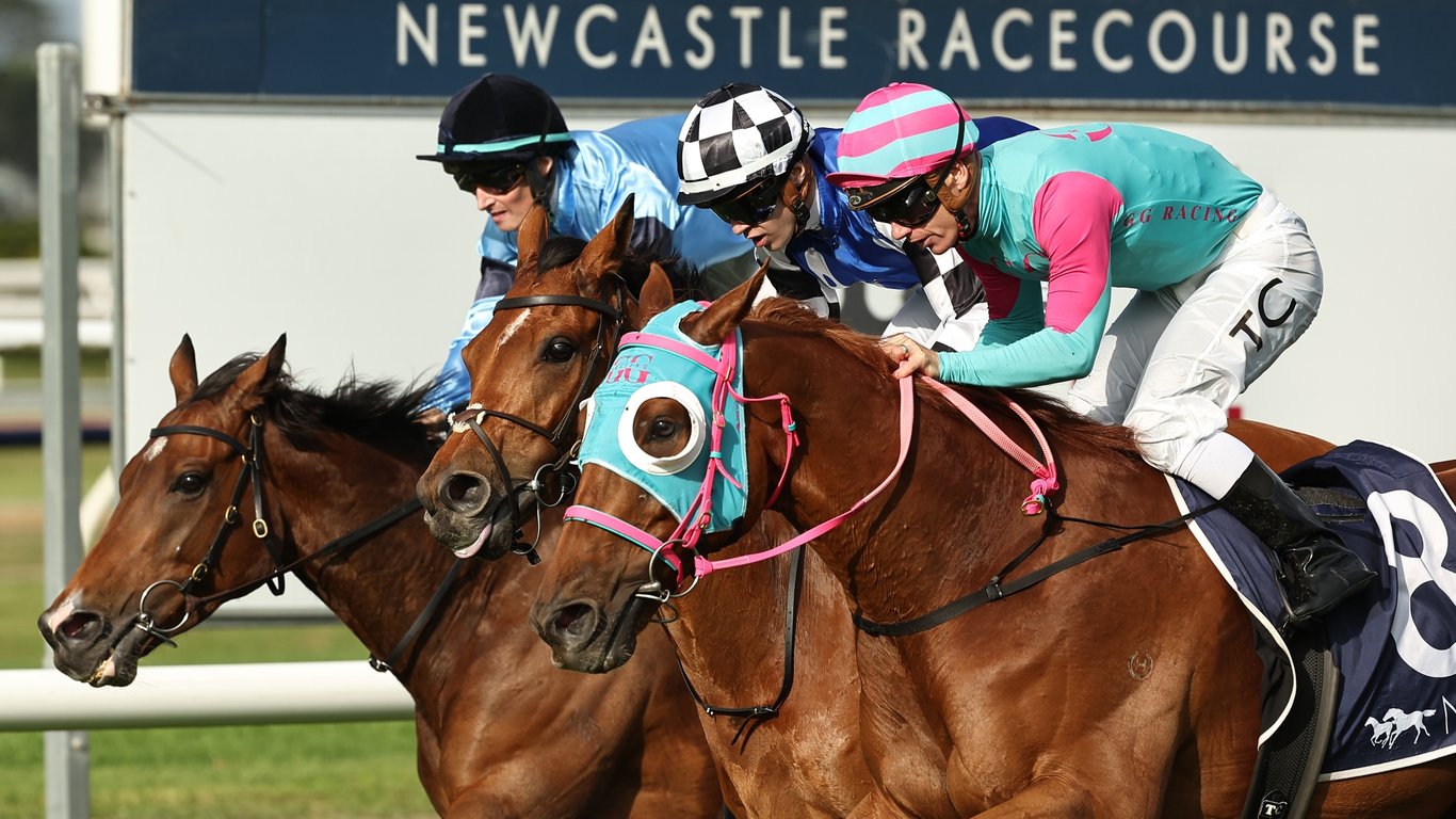 Newcastle Racing Tips for October 27 - Santatime looks set to score, 2nd-up