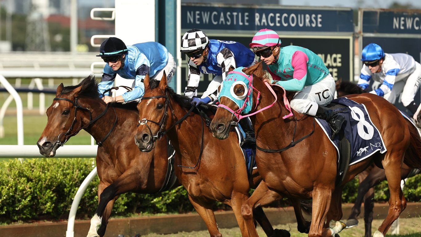 Newcastle Racing Tips for May 20 - Scholl Deep looks poised for back-to ...
