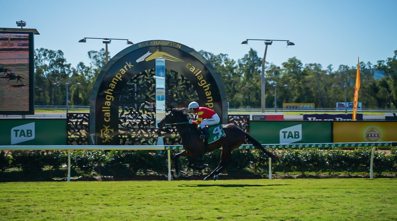 Rockhampton Racing Tips for April 11 - Daimyo looks set for back-to ...