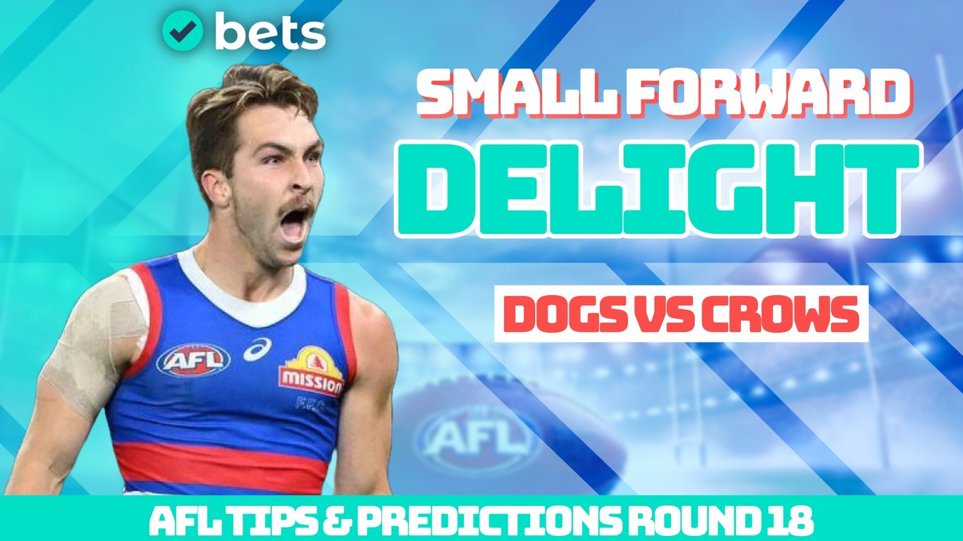 Western Bulldogs vs Adelaide Crows AFL Round 18 Tips - Dogs tipped to ...
