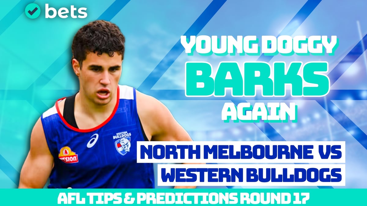 North Melbourne Kangaroos vs Western Bulldogs AFL Tips - Dogs rip ...