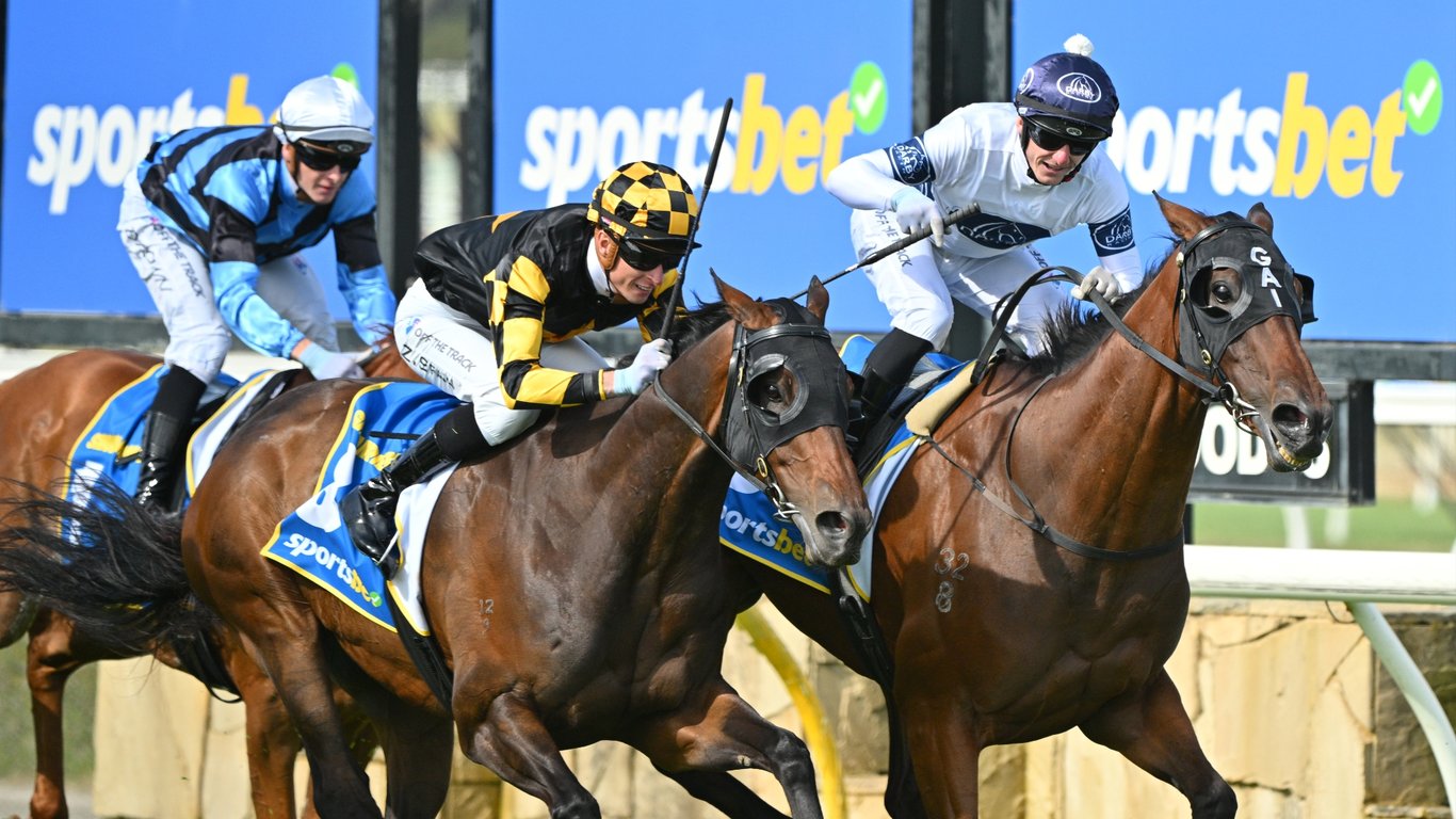 Pakenham Racing Tips for May 22- Hayes galloper in Race 4 all set to ...