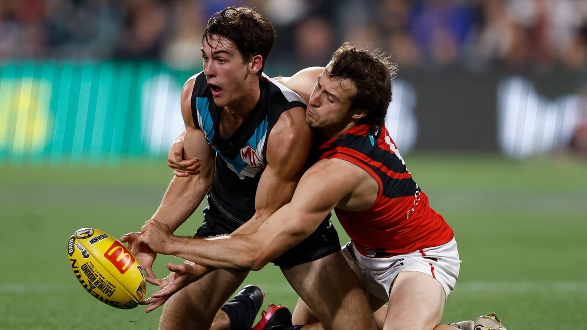 Port Adelaide Power vs Essendon Bombers Tips - Power to bounce back ...