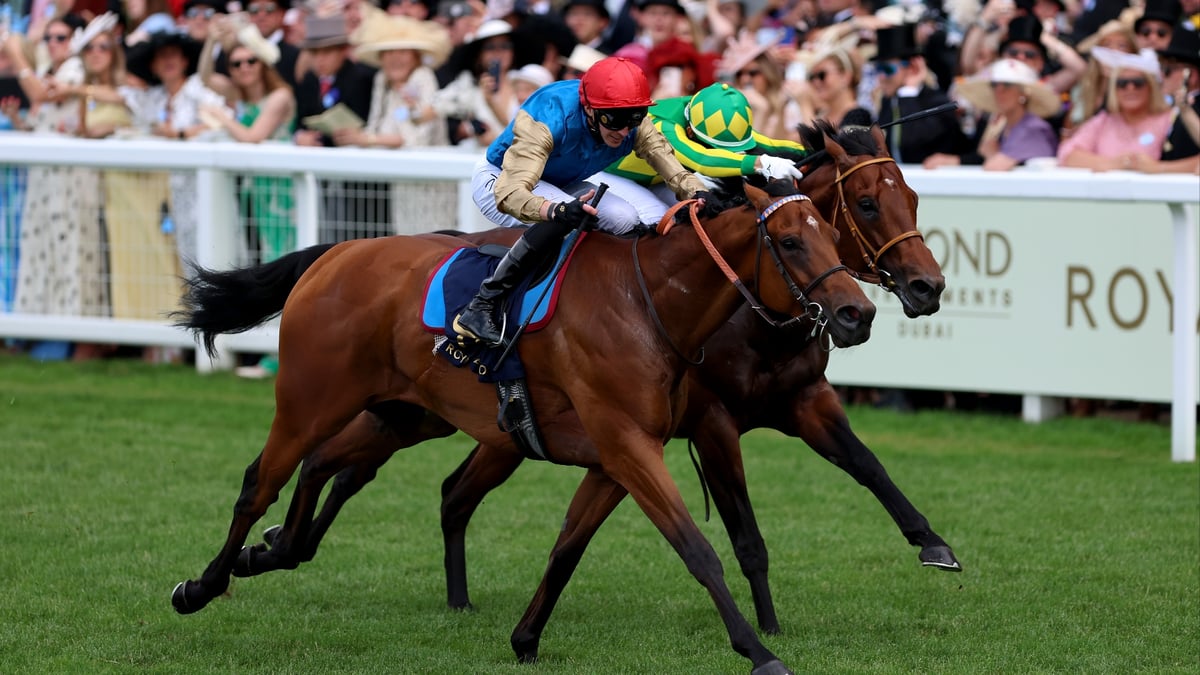 2026 Queen Elizabeth II Jubilee Stakes Live Stream | Watch the Royal ...