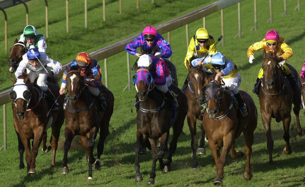 Mackay Racing Tips for June 27 - Obligated poised for another home ...