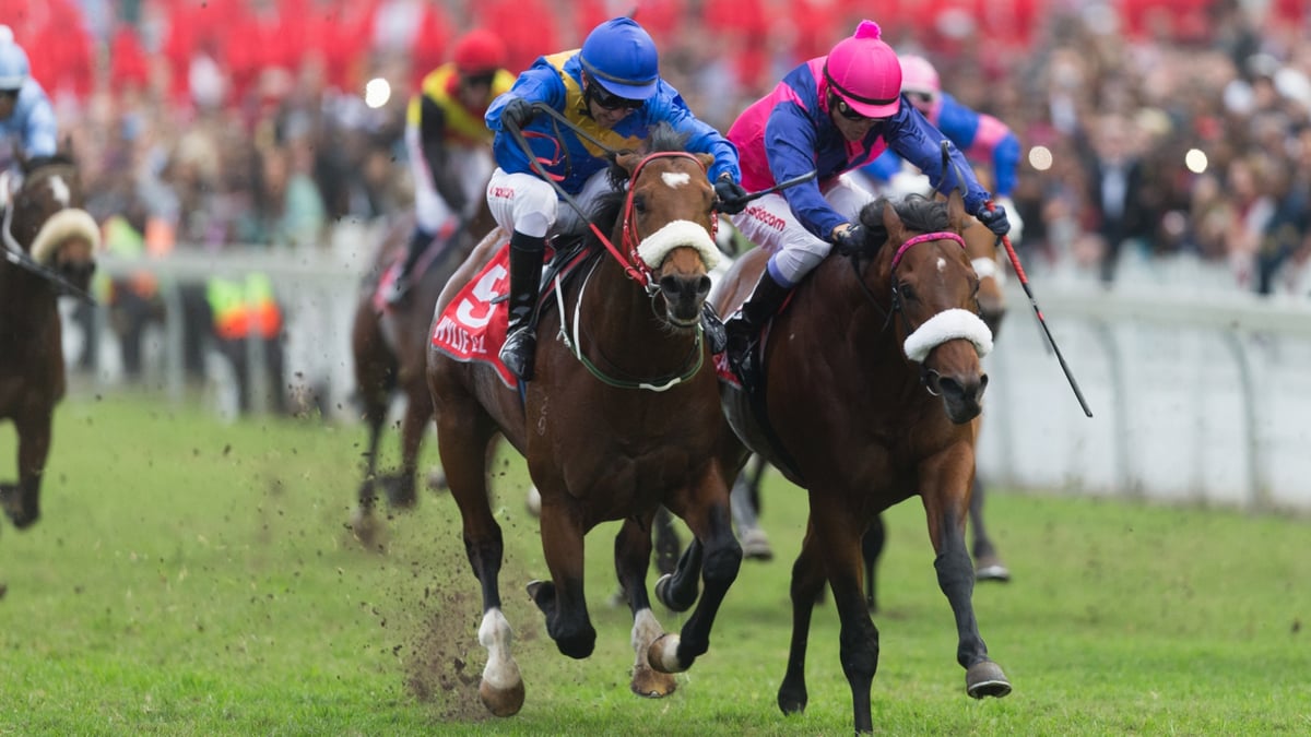 Greyville Horse Racing Tips - top tips for Wednesday, 24 September 2025