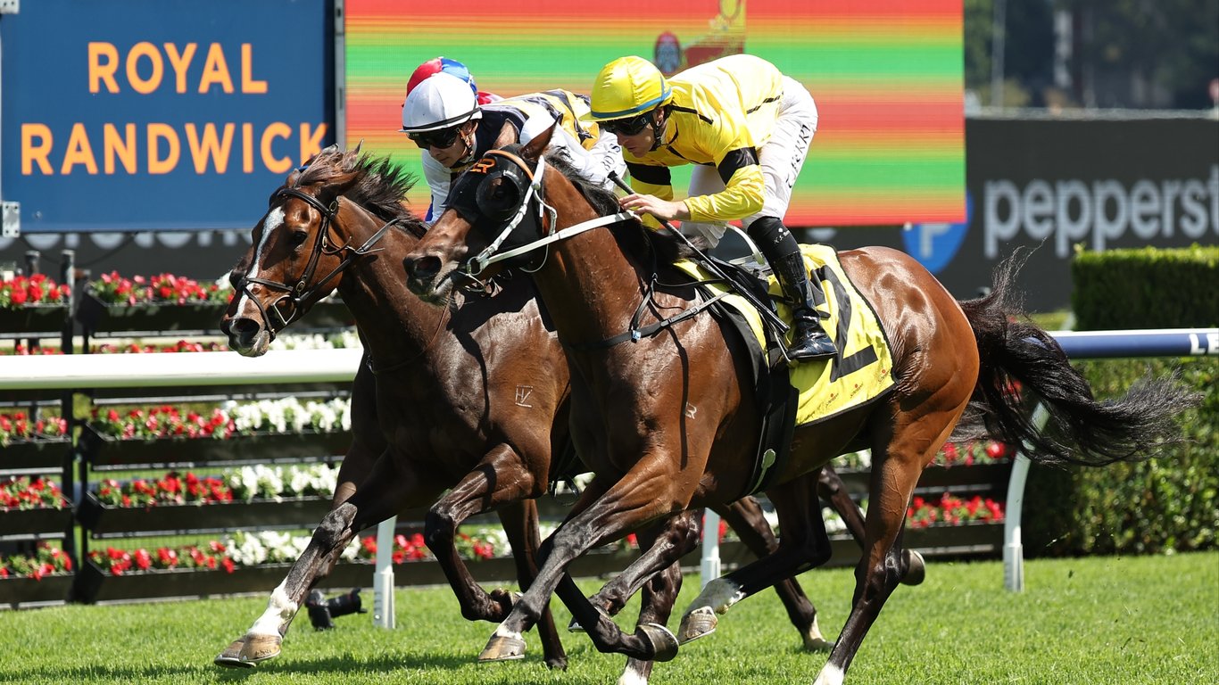 Randwick Racing Tips for January 14 - Capture Me is set for back-to ...