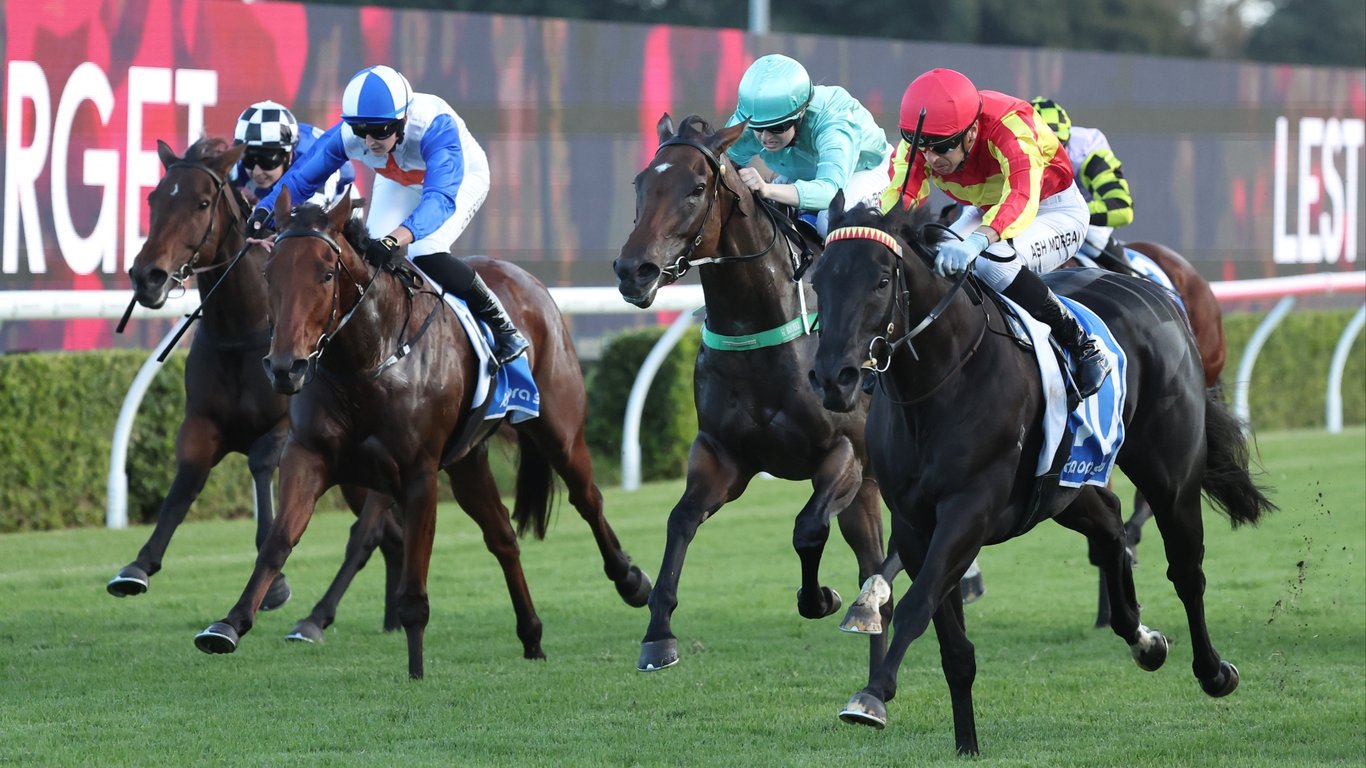 Randwick Racing Tips for January 21 - Big Red Tequila is set for a 3rd ...