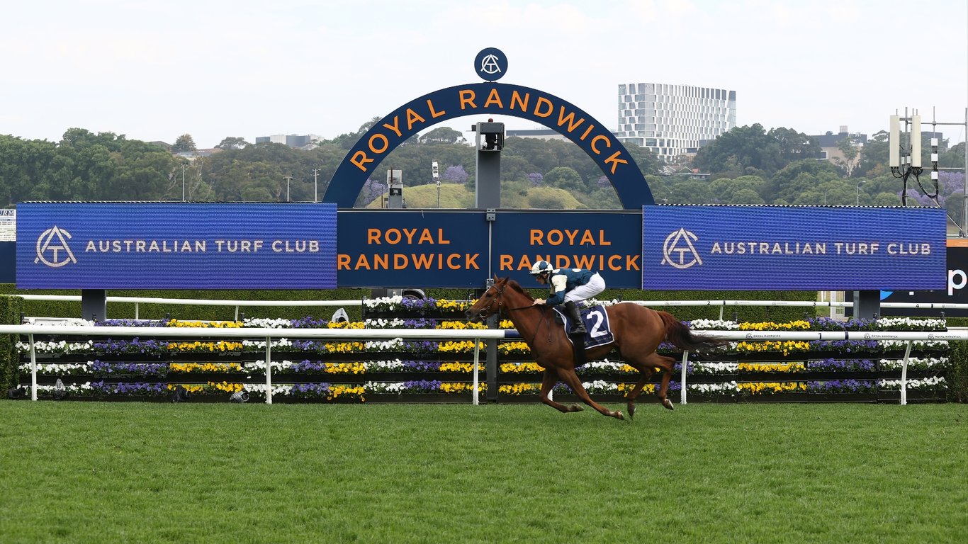 Randwick Racing Tips for November 4 - Money Team looks set for back-to ...