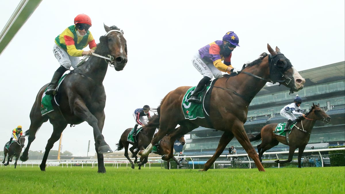 Randwick-Kensington Betting Tips Wednesday January 21, 2026 | Best Bets ...