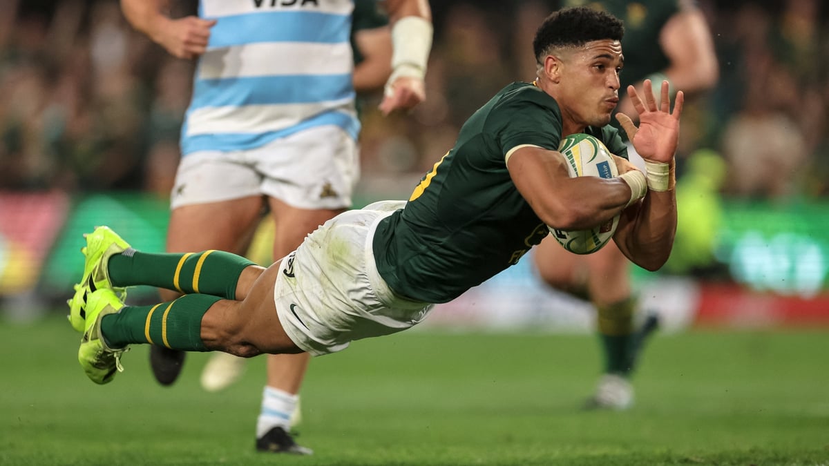 Rugby Championship Team of the week - Sacha Feinberg-Mngomezulu ...
