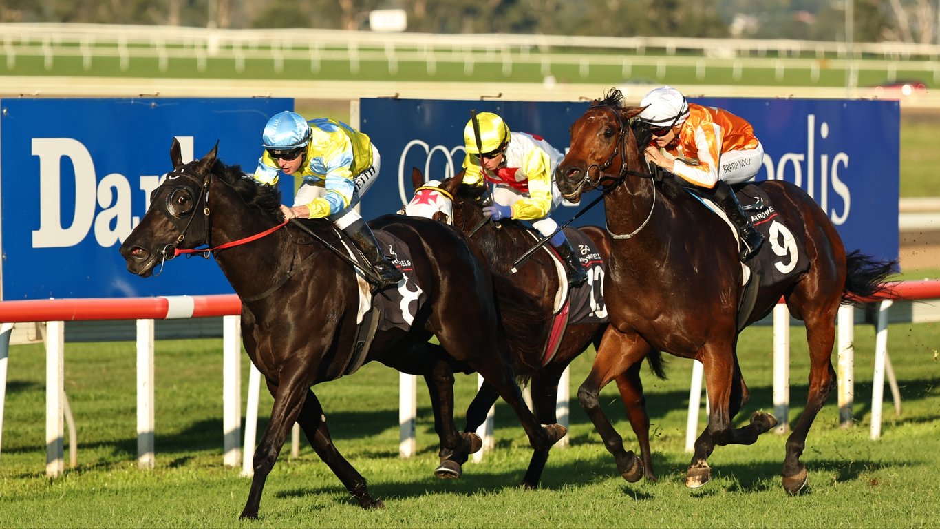 Scone Racing Tips for November 18 - Shenandoah River is drawn for ...