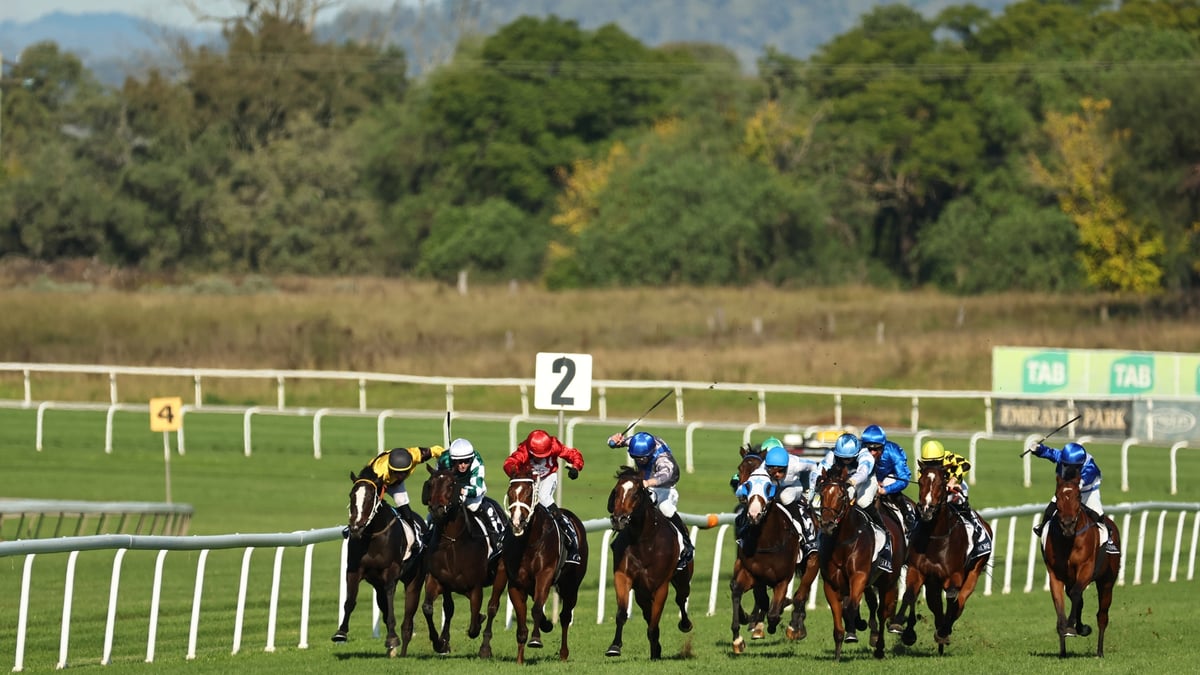 Thursday Scone Betting Tips January 29 2026 | Best Bets & Previews