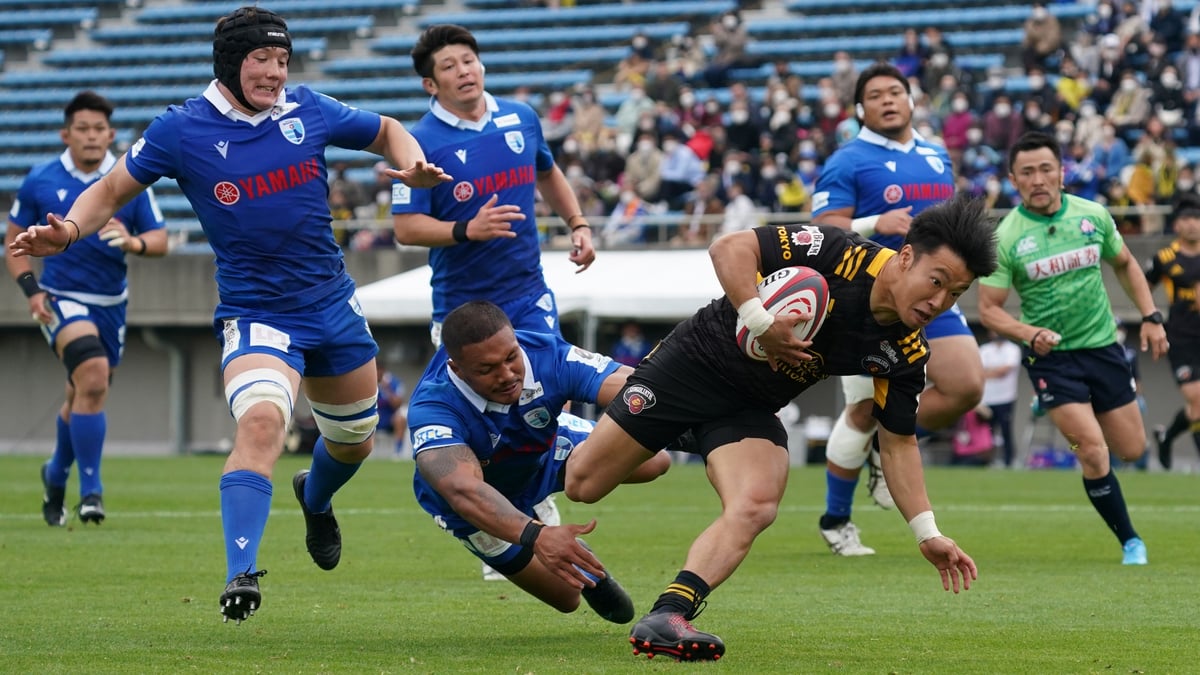 Shizuoka Blue Revs vs Kobe Steel Predictions - Shizuoka set to secure ...