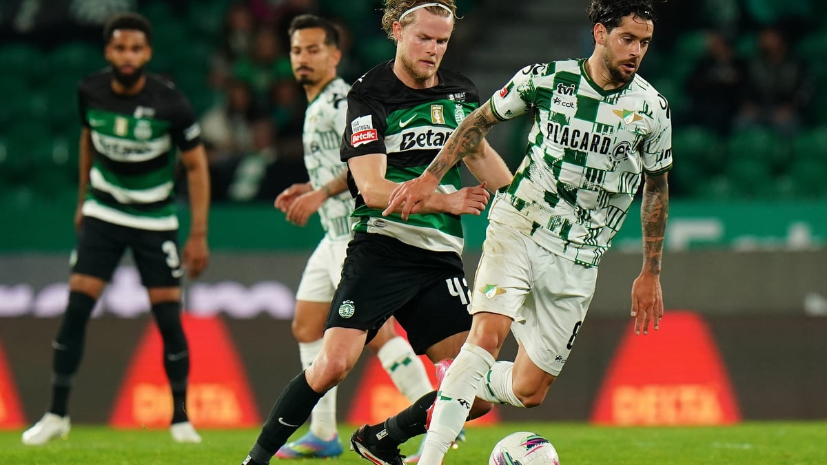 Sporting CP vs Moreirense Live Stream & Betting Tips - Primeira Liga