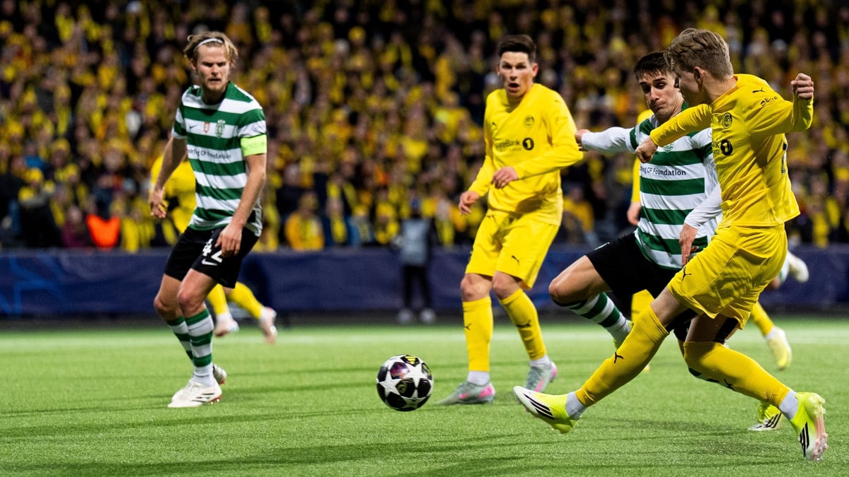 Sporting Lisbon vs Bodo/Glimt Tips - UEFA Champions League