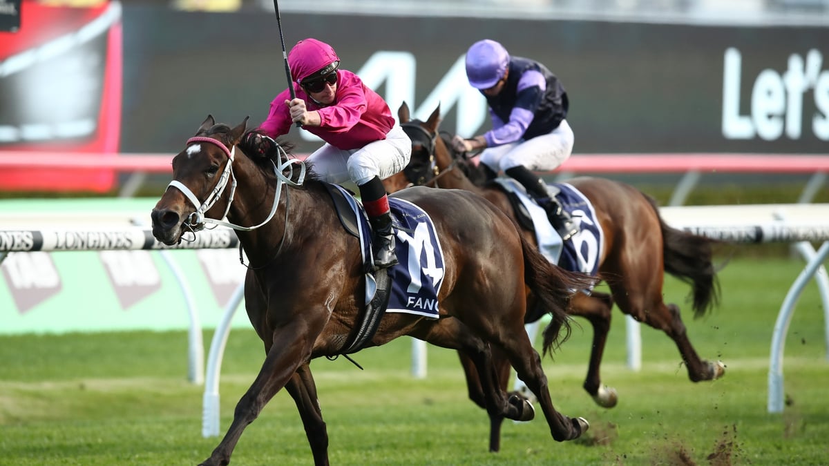 Stradbroke Handicap 2026 - Barrier Draw & Final Field