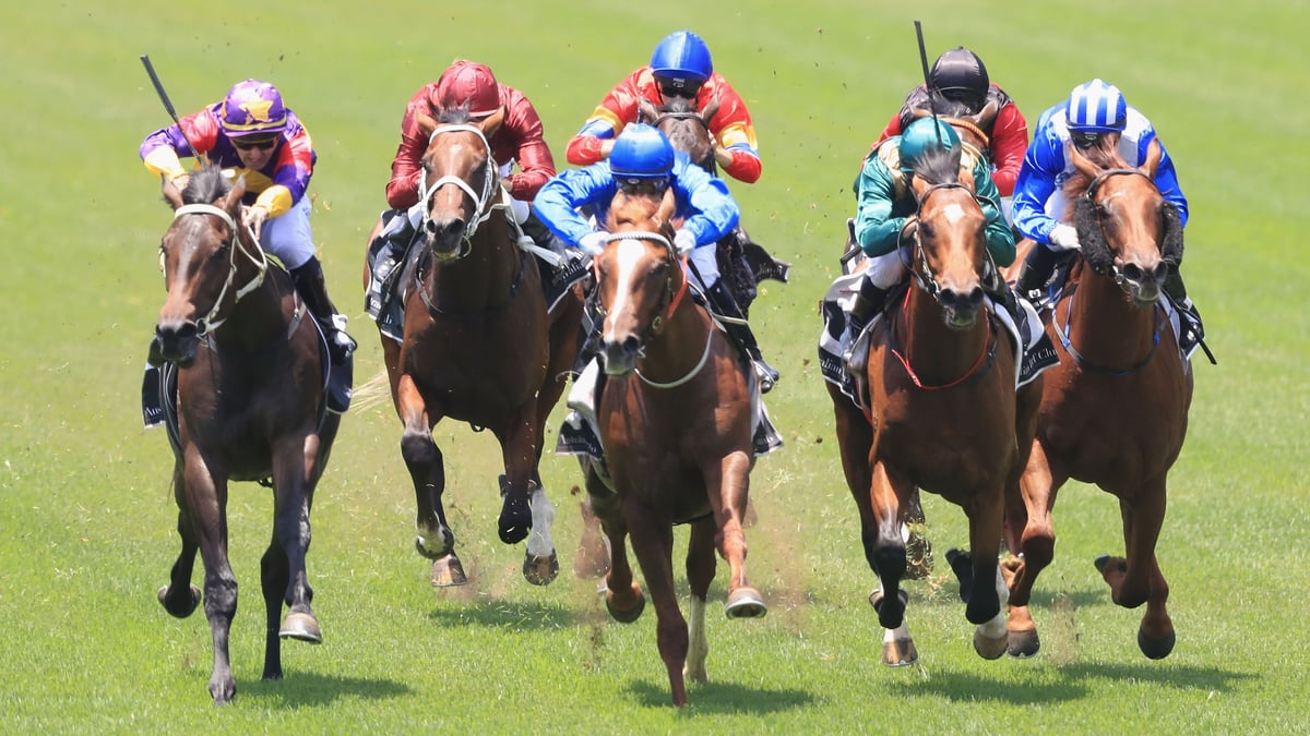Taree Betting Tips & Best Bets for Friday, June 5, 2026
