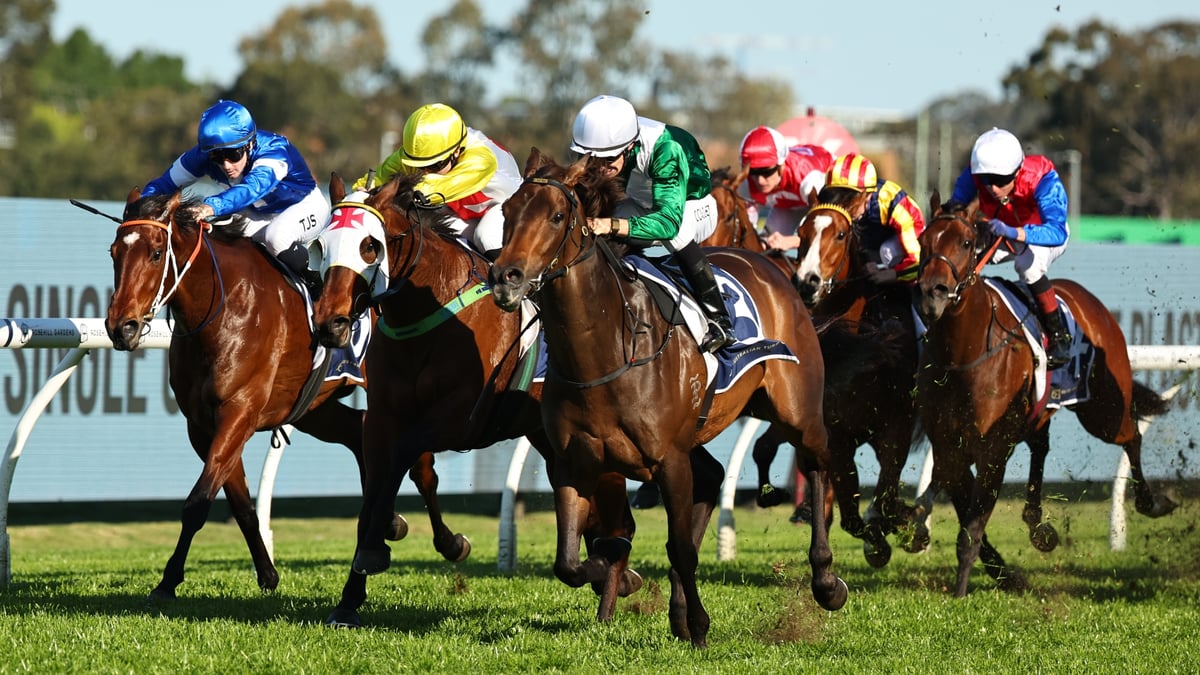 Tattersall's Tiara 2026 - Barrier Draw & Final Field